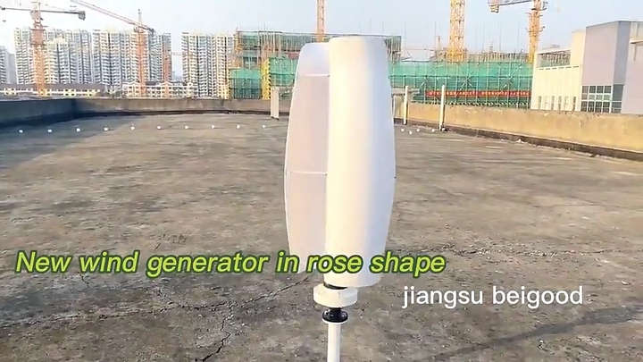 Professional 12V 100W Wind Turbine Generator for Renewable Energy ...