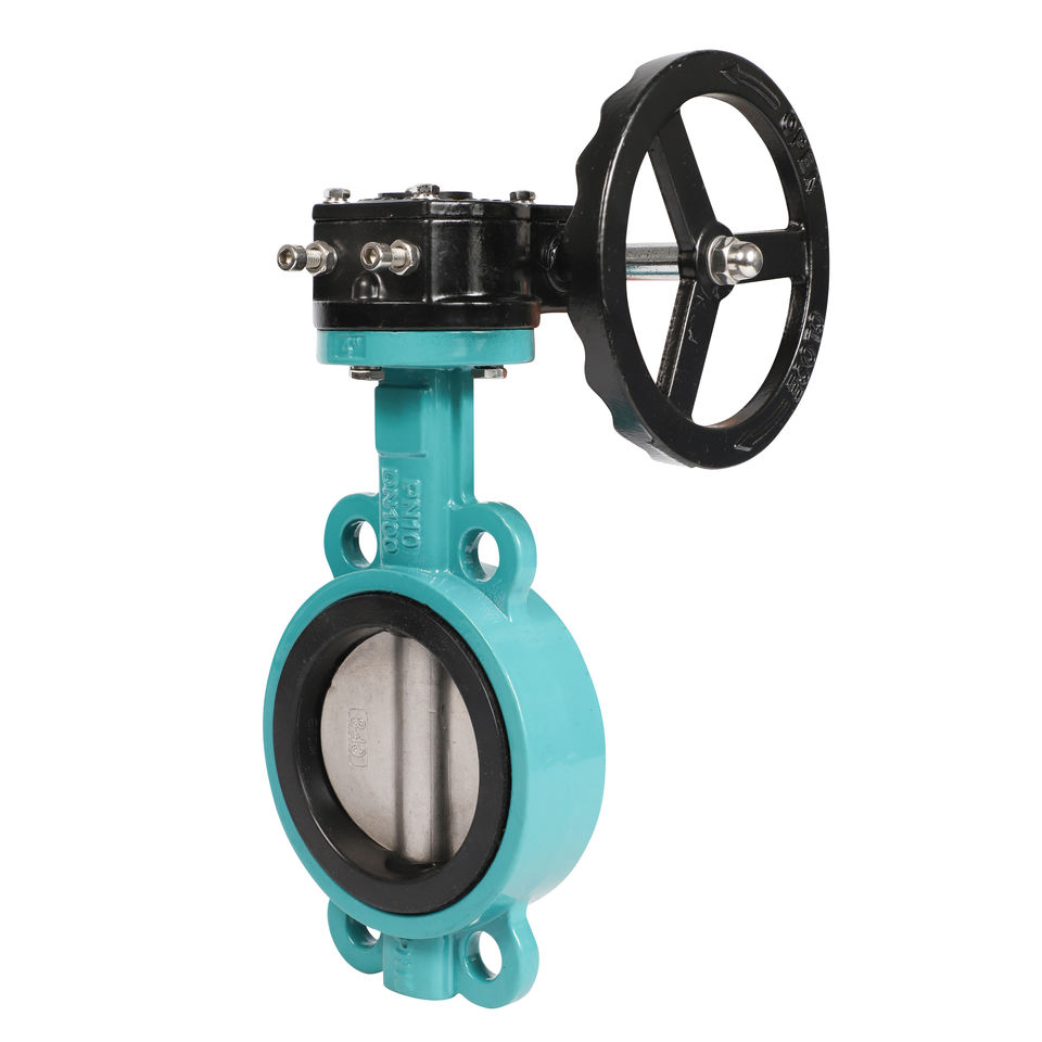 DN100 Manual Extended-Stem Butterfly Valve| Alibaba.com