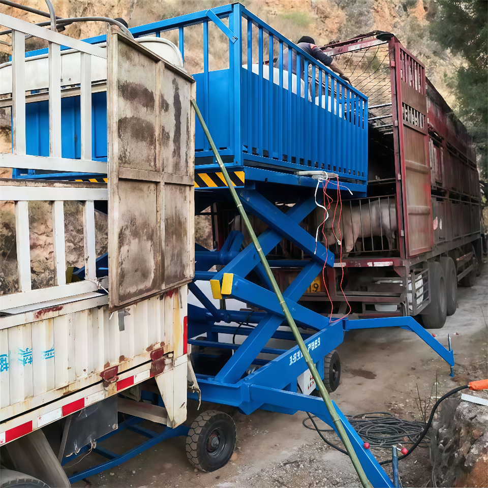 Factory Direct Sales Electric Hydraulic Lifting Platform with Load ...