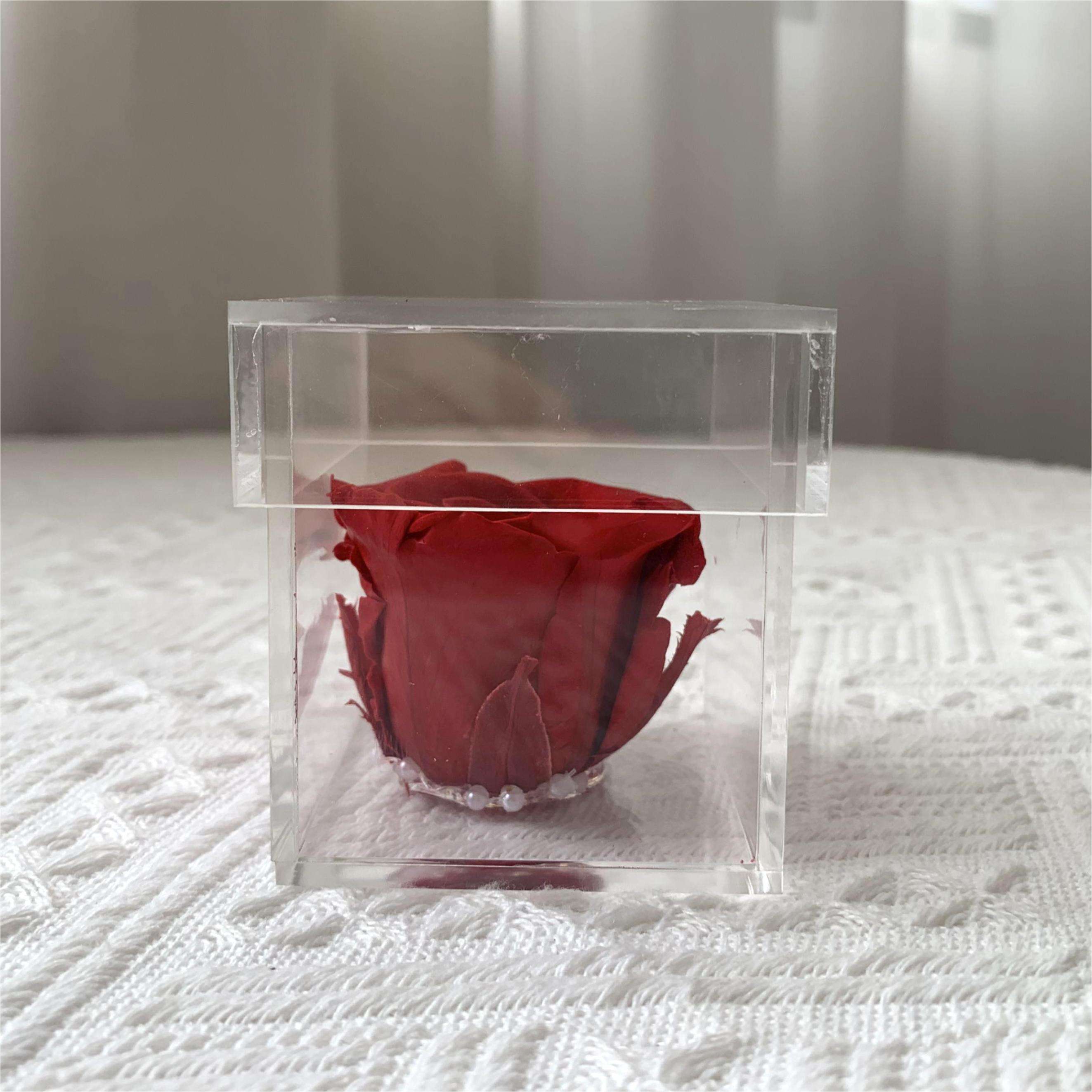 How to Choose the Best Acrylic Box Red for Display & Storage