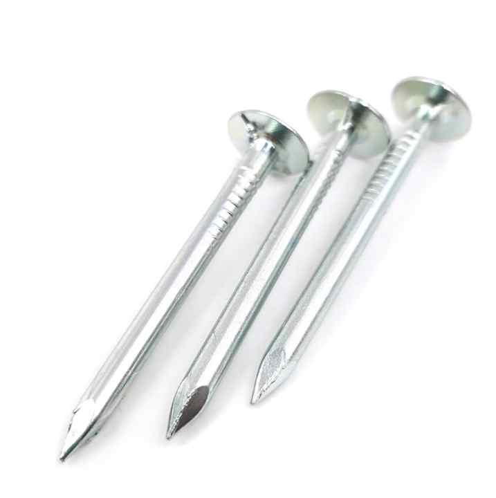 EG Large Head Linoleum Roofing Nail - High Quality Steel