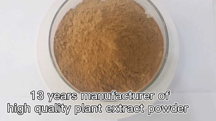 Indicus Extract - Health Benefits of Sphaeranthus Indicus