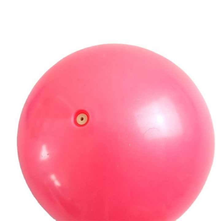 Gymnastics Ball - Stability and Exercise for Rhythmic Gymnastics
