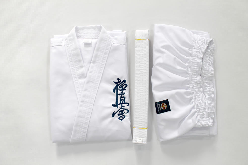 How to Choose the Best Karate Gi: A Complete Buying Guide