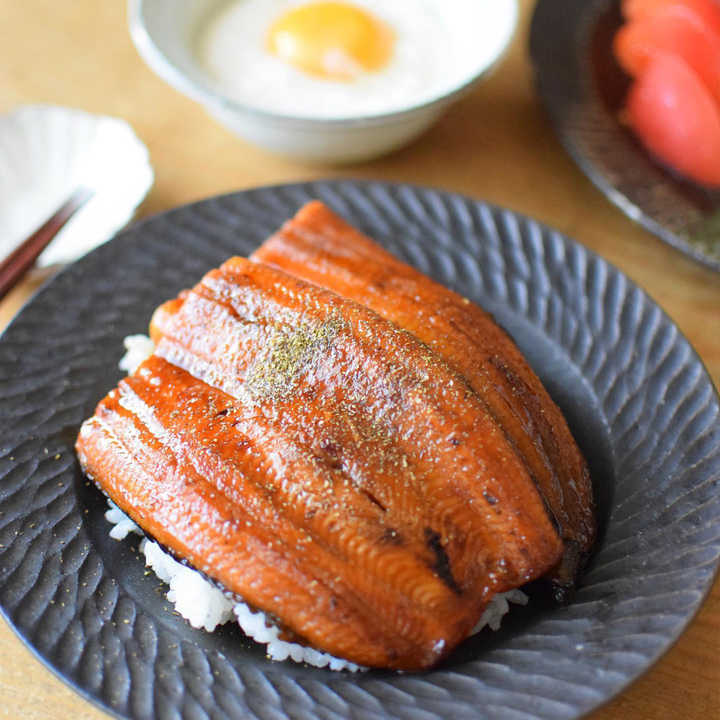 OSAKI 165g Kagoshima Glazed Broiled Frozen Roasted Eel Vacuum Packaged ...