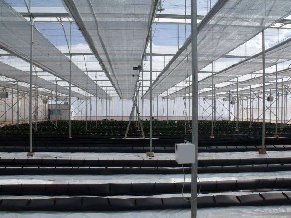 30% White Light Diffusion Screen Thermal Screen White Shade Net ...