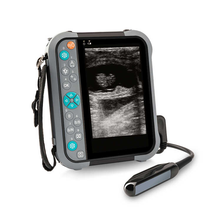 Portable Mini Ultrasound Veterinary Vet Rectal Linear Probe Ultrasound ...