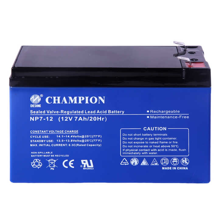 CHAMPION 12V Lead Acid Batteries - Reliable Power Solutions