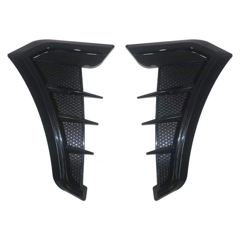 Carbon Fiber Car Body Fender Side Sticker for Trumpchi Gac Emkoo Empow ...