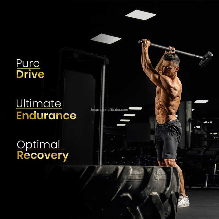 Great Formula 8-in-1 Energy Supplement Pure Himalayan Shilajit Capsules ...