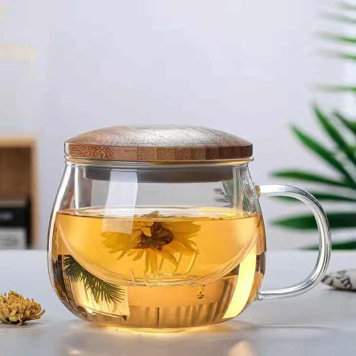 10oz Borosilicate Glass Tea Maker Cup with Removable Infuser