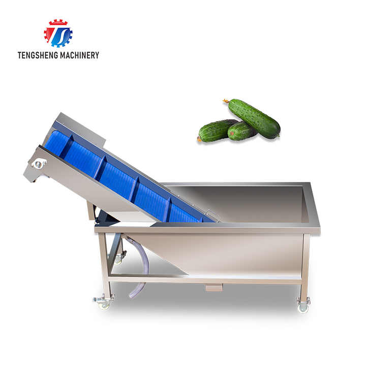 Stainless Steel Automatic Vegetable and Fruit Elevator