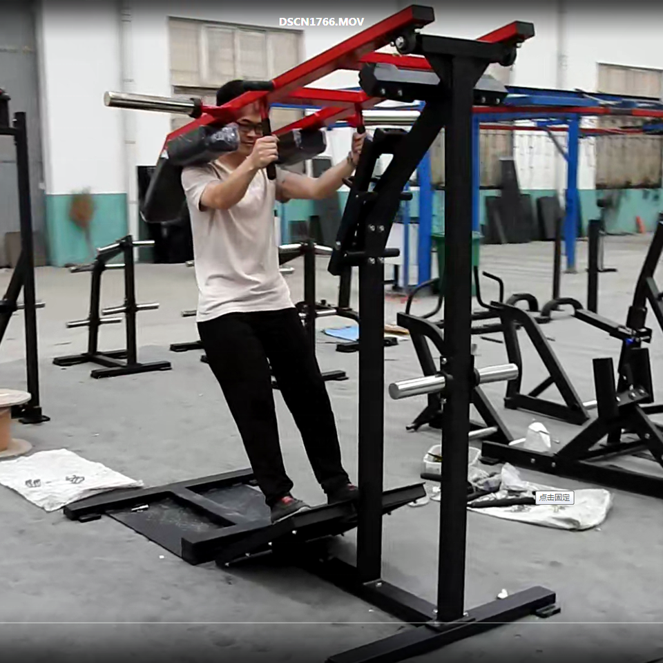 Pendulum Hack Squat Gym Squat Machine - New Design Fitness