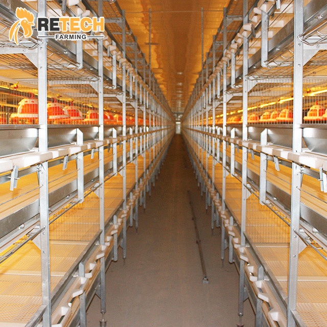Poultry Battery Cages - Efficient and Durable Solutions