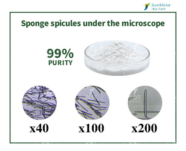 High Purity Sponge Spicule Cosmetic - 99.51% Extract