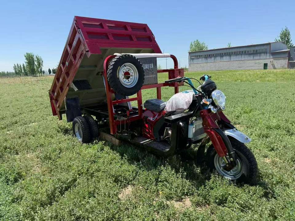 Five Wheel 250cc Cargo Motorcycle with Large Cargo Box for Agricultural ...