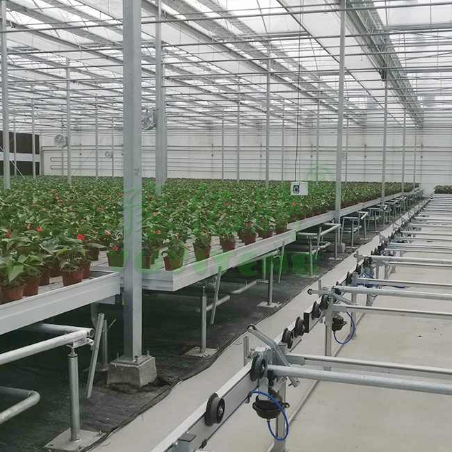 3 Tier Grow Tables Hydroponic Growing System Vertical Grow Rack ...