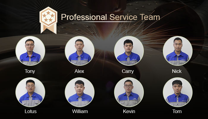 SENFENG CNC Hydraulic Servo Press Brake for Precision Bending