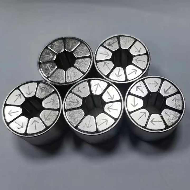 Custom Halbach Array Motor Neodymium Magnet Ndfeb Segment