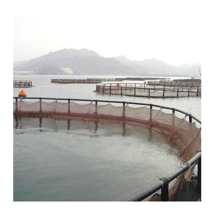 Deep Sea Offshore Cages Fish Farm HDPE Floating Aquaculture