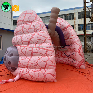 Giant Inflatable Lungs - Lifelike & Customizable Models