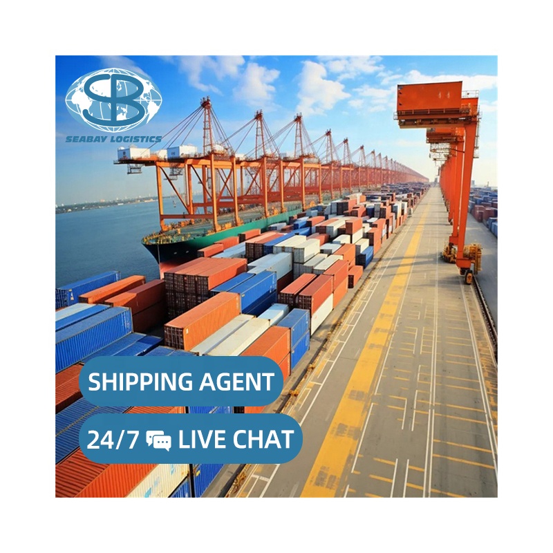 Company Overview - Seabay International Freight Forwarding Ltd.