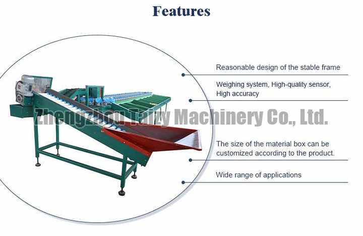 Commercial Okra Sorter Grader - Efficient Weight Grading