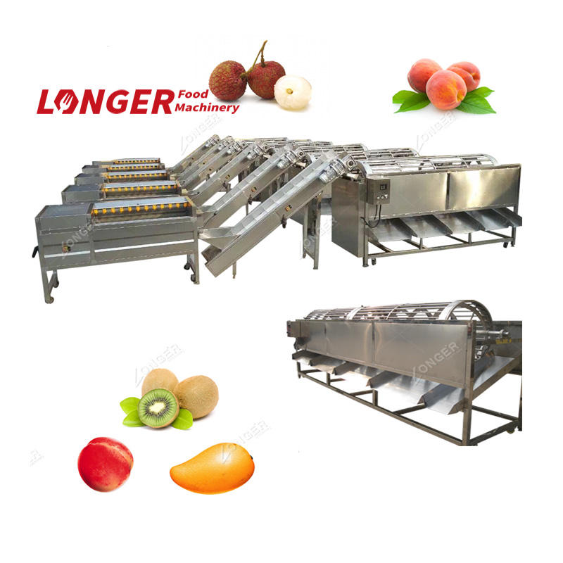 Industrial Fruit Sorter - Efficient Grading Solutions