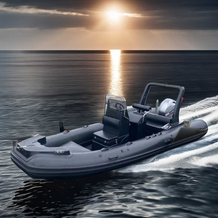 20ft CE Certified Hypalon/PVC RIB Inflatable Catamaran for Sale OEM