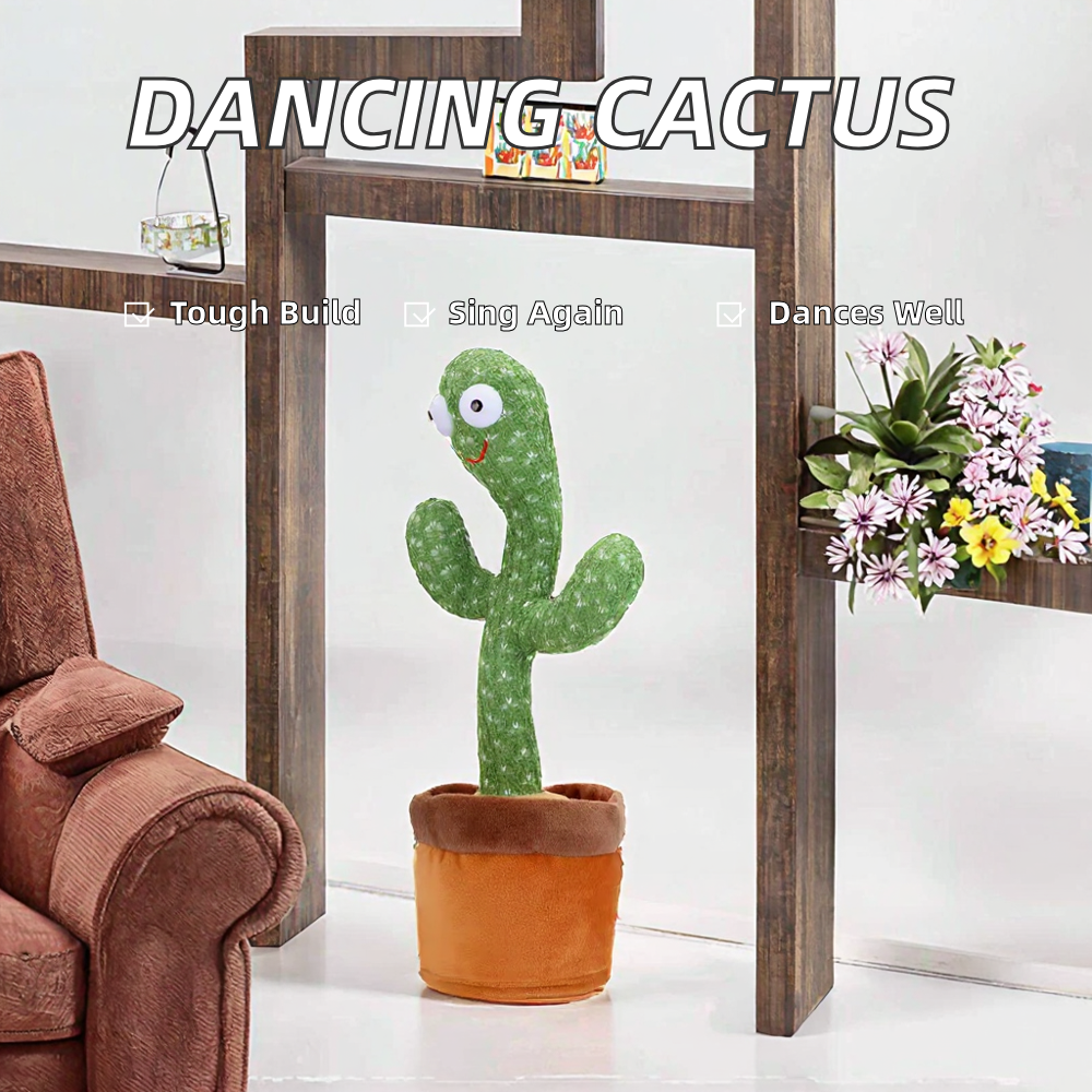 How to Choose the Best Cactuses Dancing for Your Home or Gift