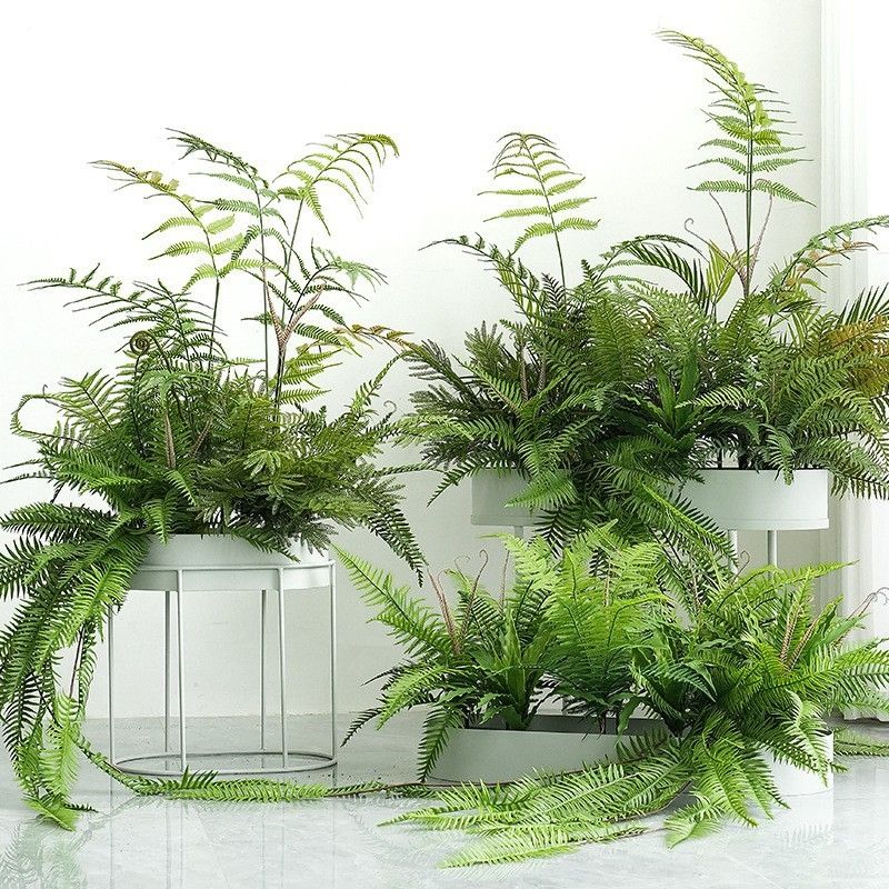 Real Touch Fern Leaves Stem Artificial Greenery Leaf Decoration Potted ...