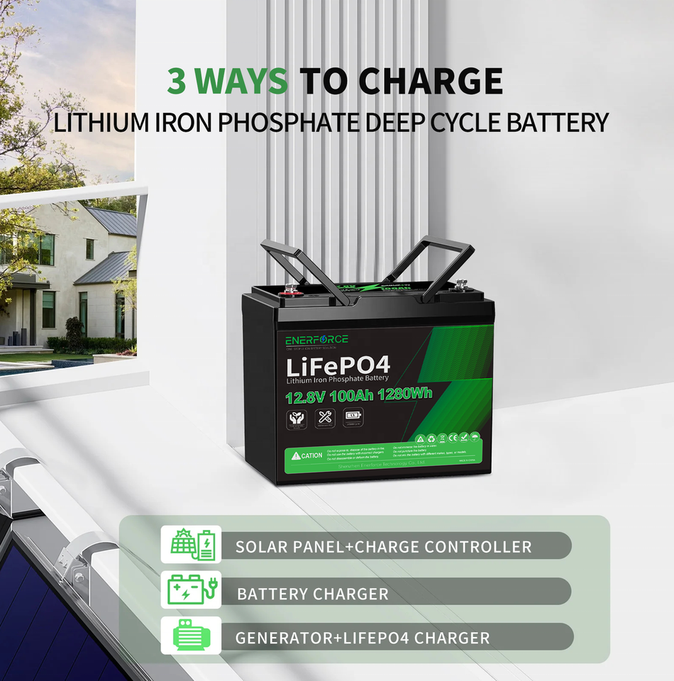 Enerforce OEM 12V 100AH/200AH Lifepo4 Lithium-Ion LFP Battery Pack with ...