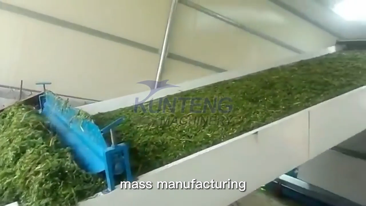 High Efficiency Crawler Type Mesh Belt Dryer for Hops & Hemp