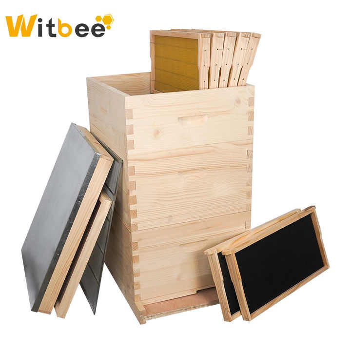 Wooden Bee Hives Beekeeping Equipment Wood 10 Frames/8 Frame Langstroth ...