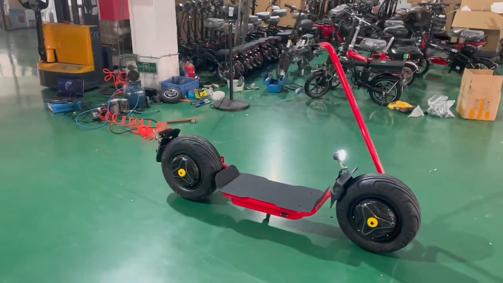 Citycoco Electric Scooter - 4000W Power and 50-60KM Range
