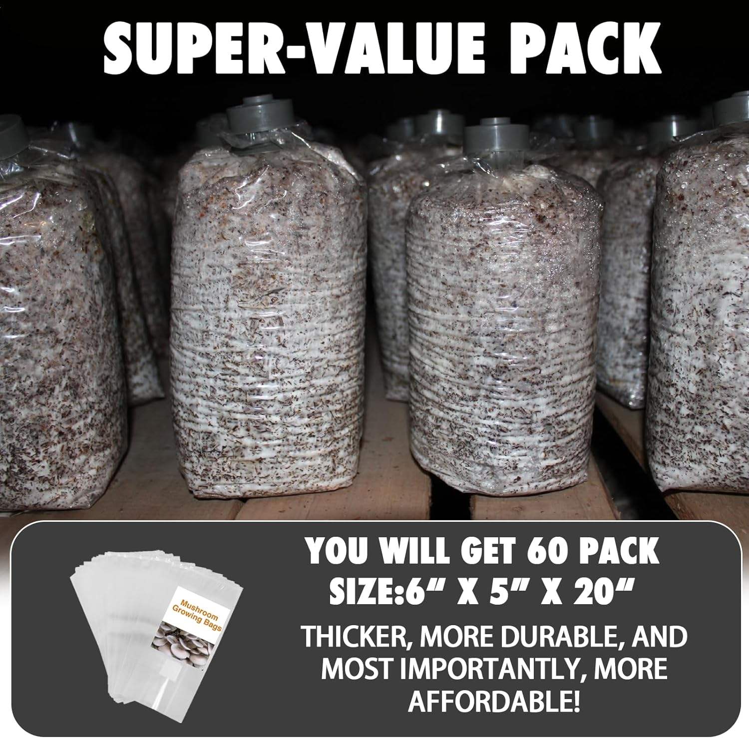 How to Choose the Best Mushroom Fruiting Blocks for Home Growing