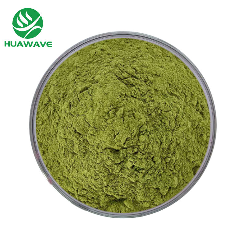 Factory Supply Food Grade 99% Pure All-natural Leek Extract Leek Powder ...