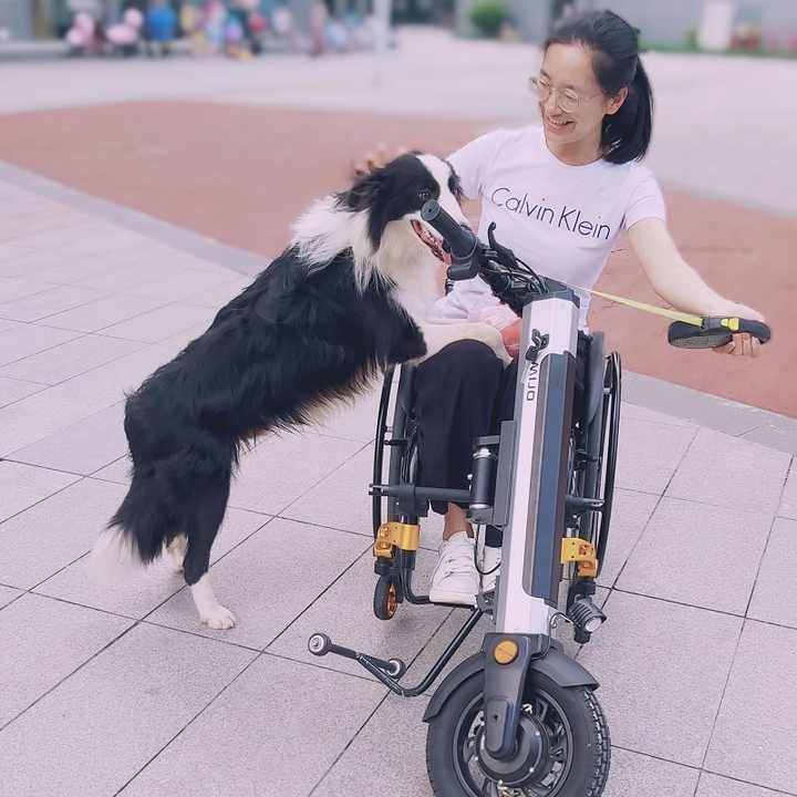 Handbike Motorized Handcycle - Power Assist for Wheelchairs