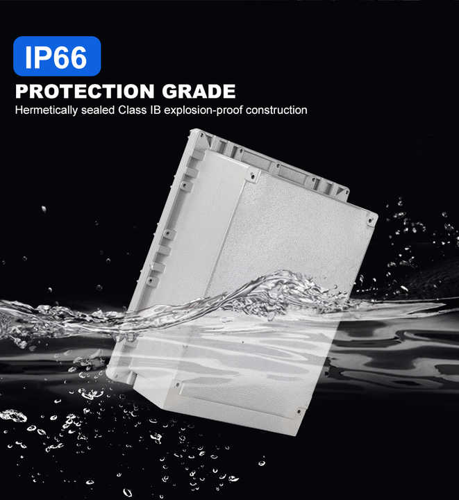 ATEX IP66 Explosion Proof Enclosure Ex Box - Lontu LTDX