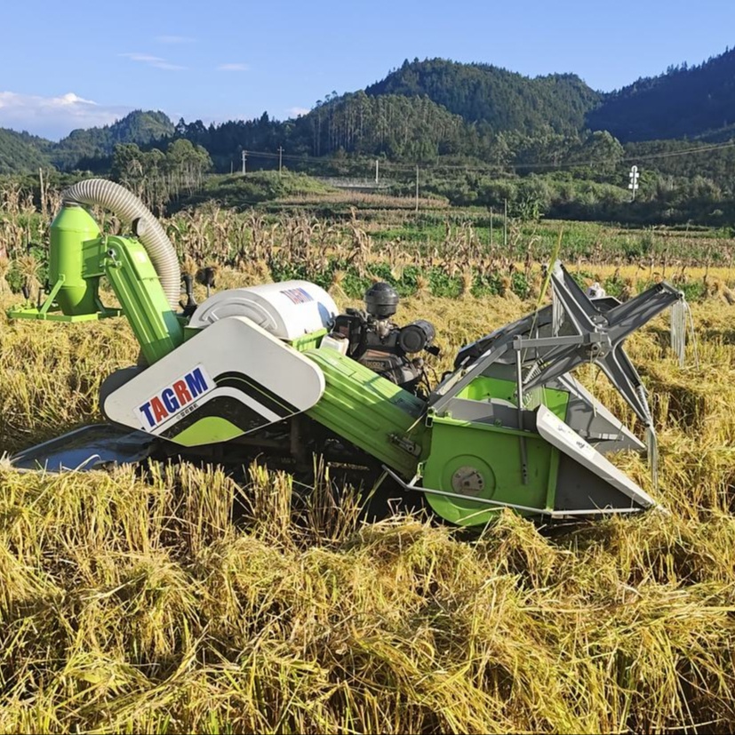 How to Choose the Best Rice Cutter Harvester Machine: Buying Guide