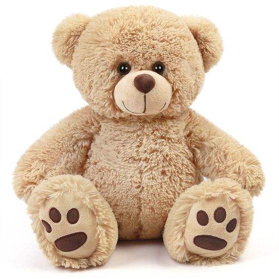 How to Choose the Best Stuffed Bear: A Complete Buying Guide