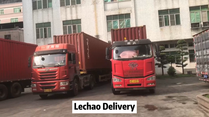 Lizard Shape Halal Fruit Gummy Candy - Sweet & Healthy