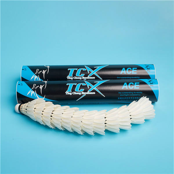 Engineered for Precision and LongevityTCX ACE Top Grade Natural Feather ...