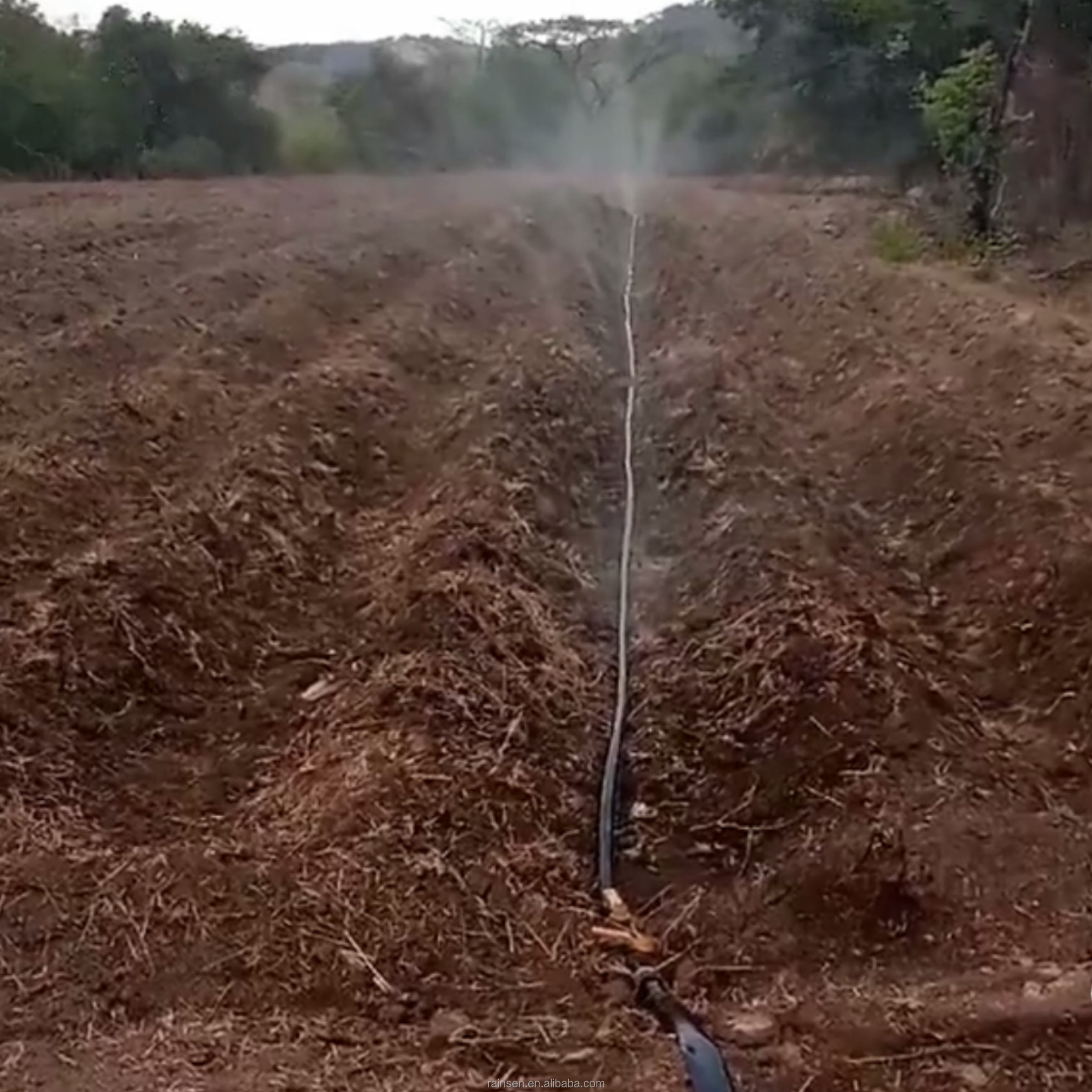 How to Choose the Best Sprinkler Irrigation System for Your Lawn