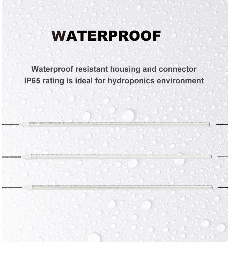 How to Choose the Best Hydroponic Vegetable Growing System