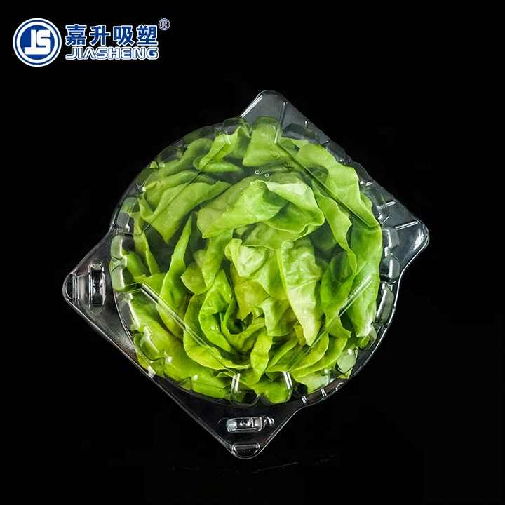 Wholesale Disposable Plastic Clamshell Packaging Boxes for Living ...