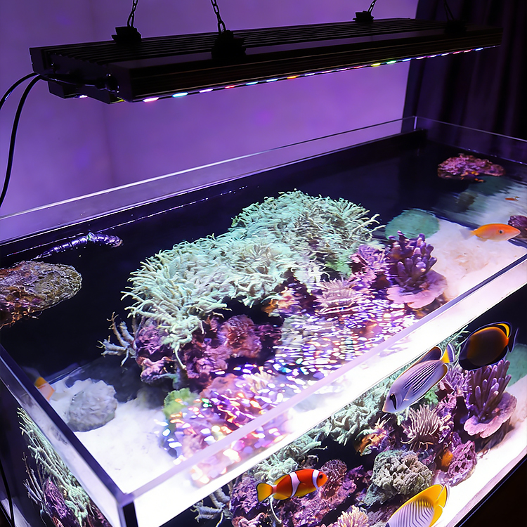 Illuminate Your Aquarium With Advanced underwater aquarium led lighting ...