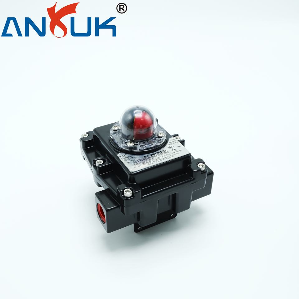 Explosion Proof Limit Switch Box ExdIICT6 Dual SPDT Micro Switch 5A ...
