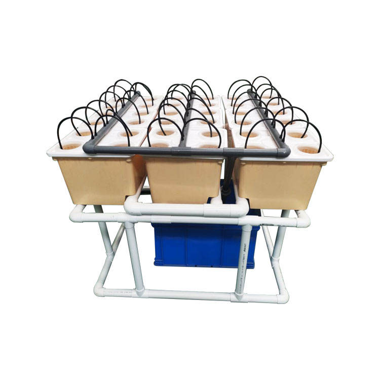 How to Choose the Best 5 Gallon Hydroponic Bucket for Your System