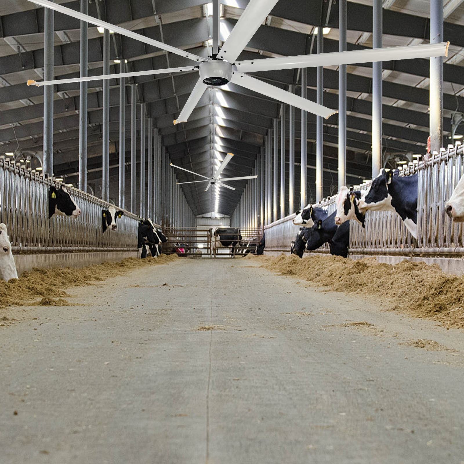 How to Choose the Best Big Fan for Warehouse Cooling & Ventilation